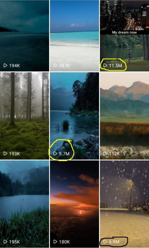 1000+ Nature Reels Bundle
