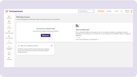 Viral Dashboard Special