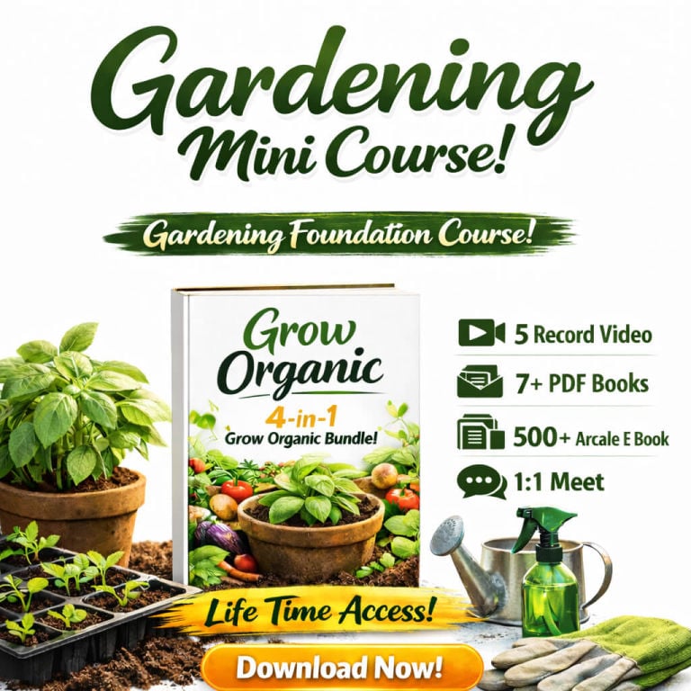 Grow Bundle - Your Ultimate Learning Resources